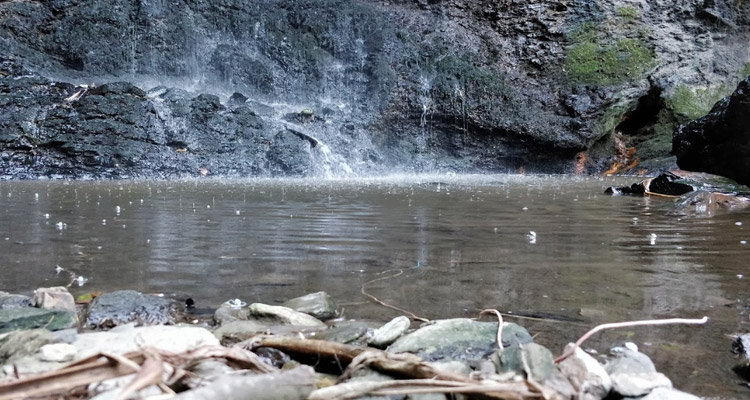 Chadwick Falls Shimla (Timings, Entry Fee, Images, Best time to visit ...