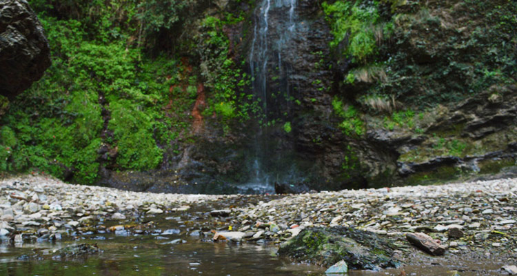 Chadwick Falls Shimla (Timings, Entry Fee, Images, Best time to visit ...