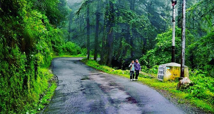 Chail near Shimla (History, Distance, Images & Location) - Shimla Tourism