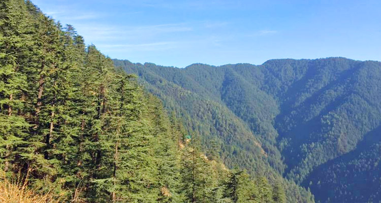 Green Valley Shimla (Entry Fee, Timings, Best time to visit, Images ...