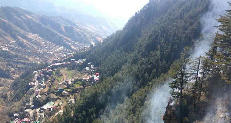 Kufri Shimla (History, Distance, Images & Location) - Shimla Tourism