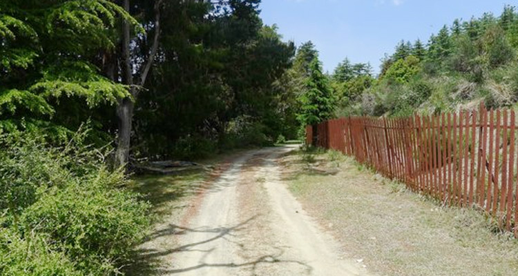 Reserve Forest Sanctuary Shimla (Entry Fee, Timings, Safari, Best time ...