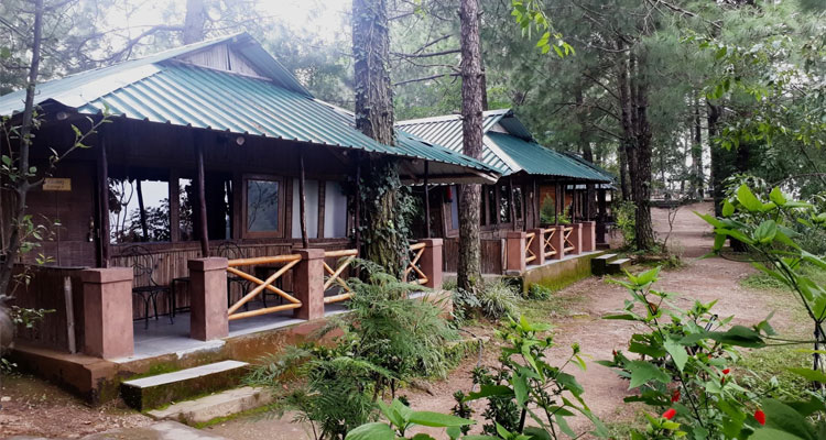 Shogi near Shimla (History, Distance, Images & Location) - Shimla Tourism