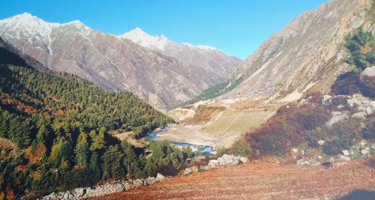 Summer Hill Shimla (Timings, Distance, Images, Best time to visit ...